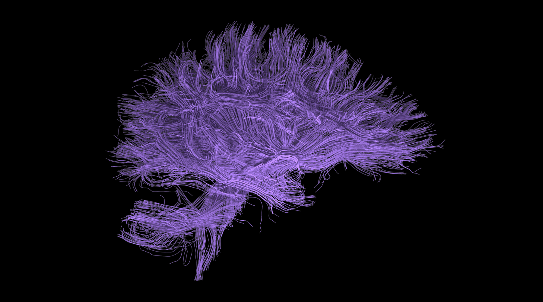 Manipulating Memory through Optogenetics: A Conversation with ...